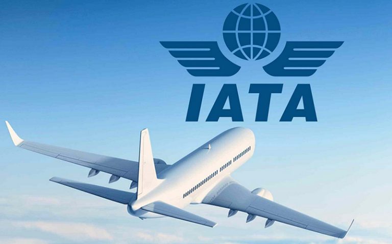 IATA: Aeronáutica latinoamericana lidera recuperación global del sector ...
