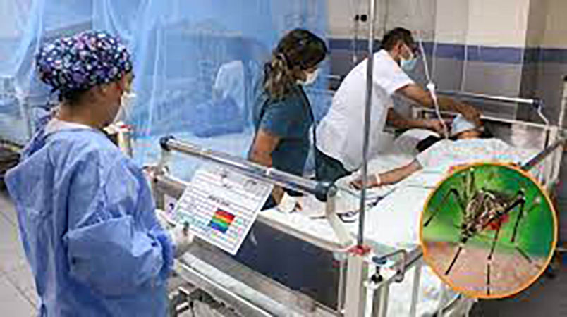 OMS alerta sobre peligro por récords de infecciones por dengue en todo ... OMS alerta sobre peligro por récords de infecciones por dengue en todo ...